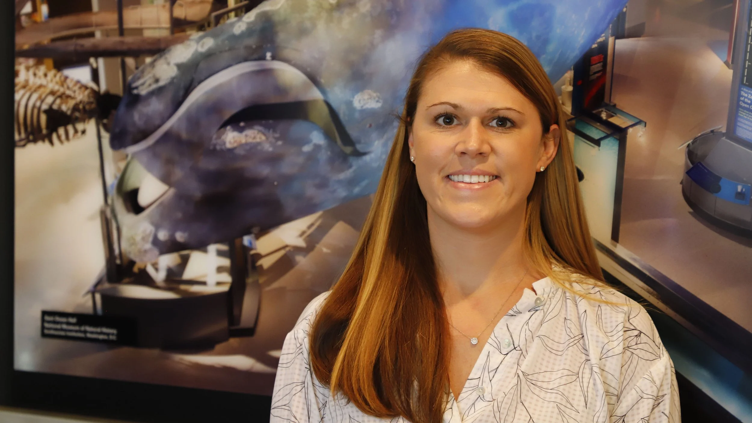Museum Exhibit Project Managers — Design and Production Incorporated