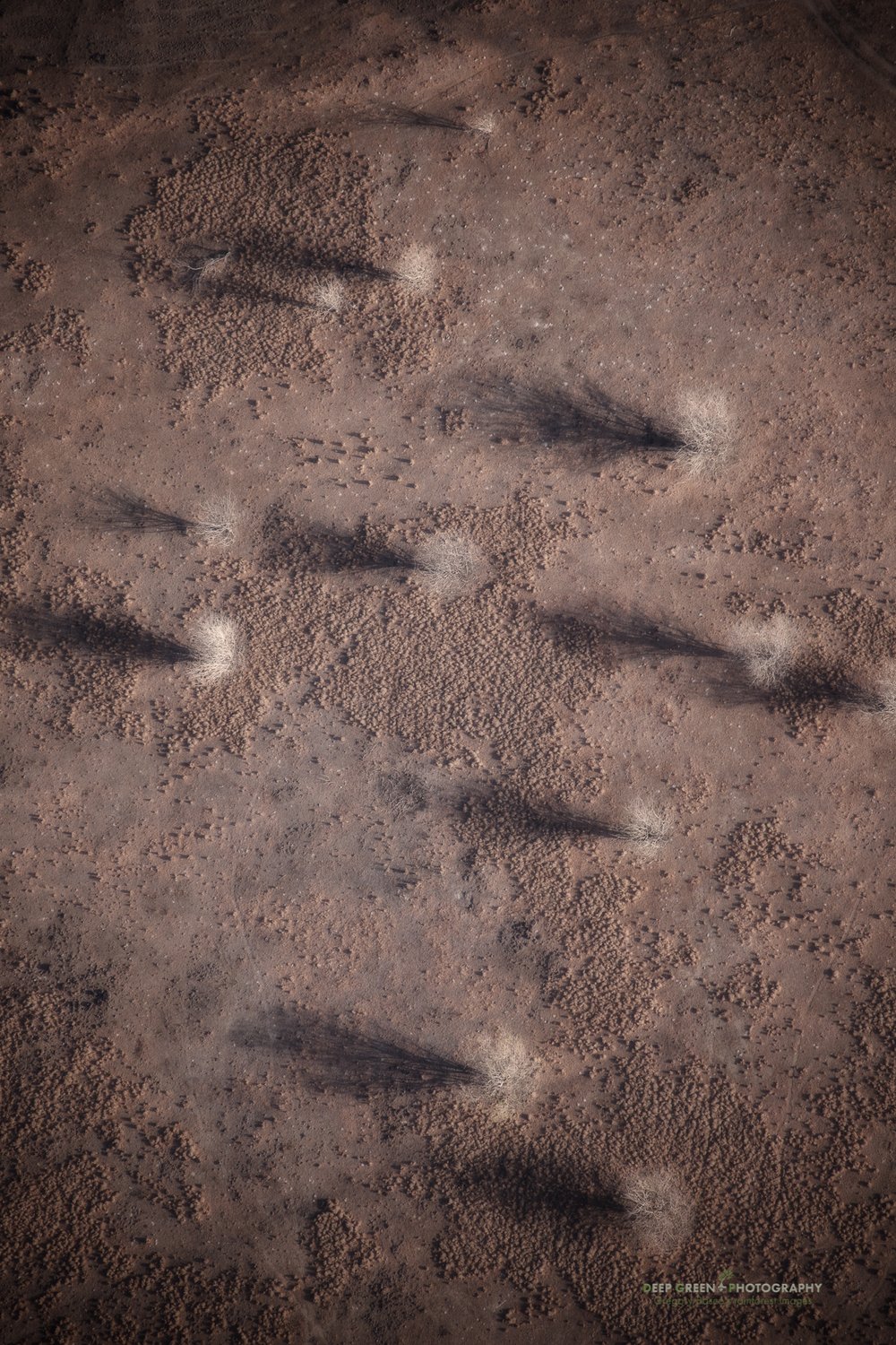 BEHIND THE IMAGE | Desertification — Deep Green Photography