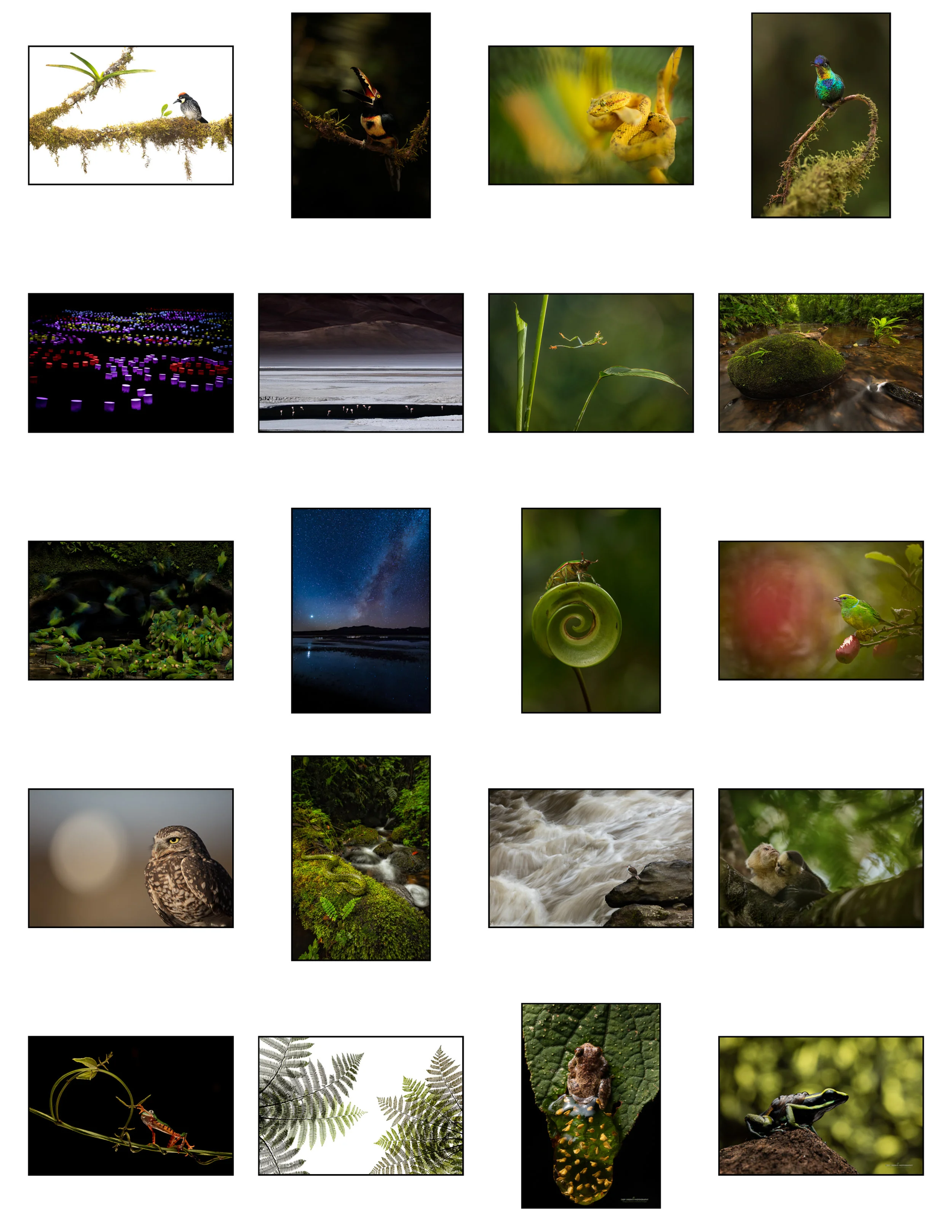 BEHIND THE IMAGE | Best of 2016 — Deep Green Photography