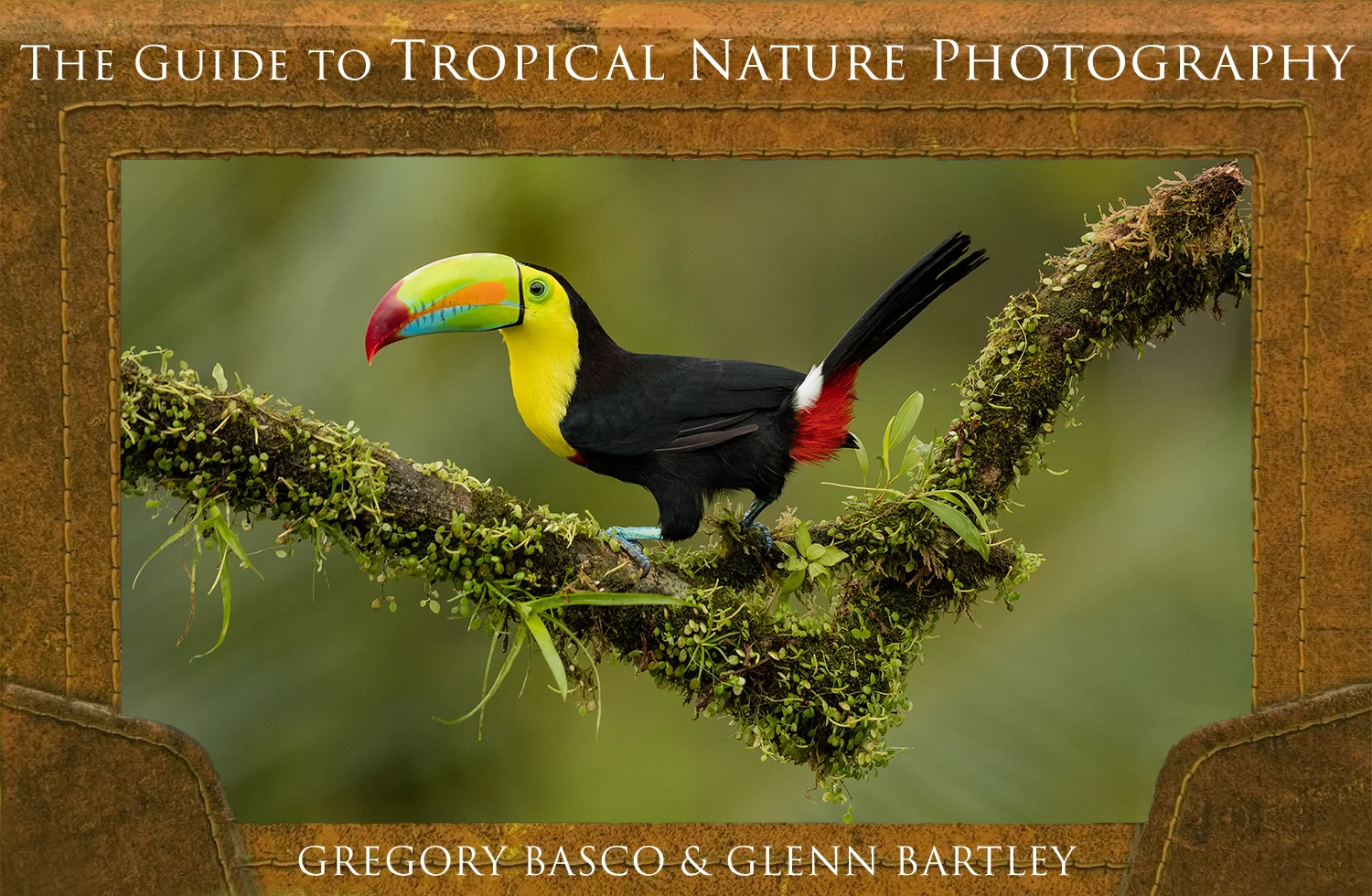 The Guide to Tropical Nature Photography — Deep Green Photography