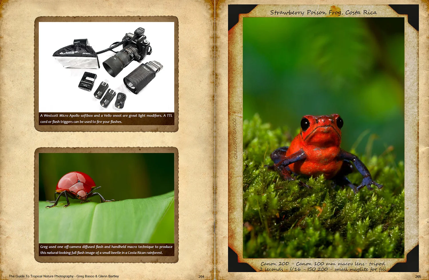The Guide to Tropical Nature Photography — Deep Green Photography