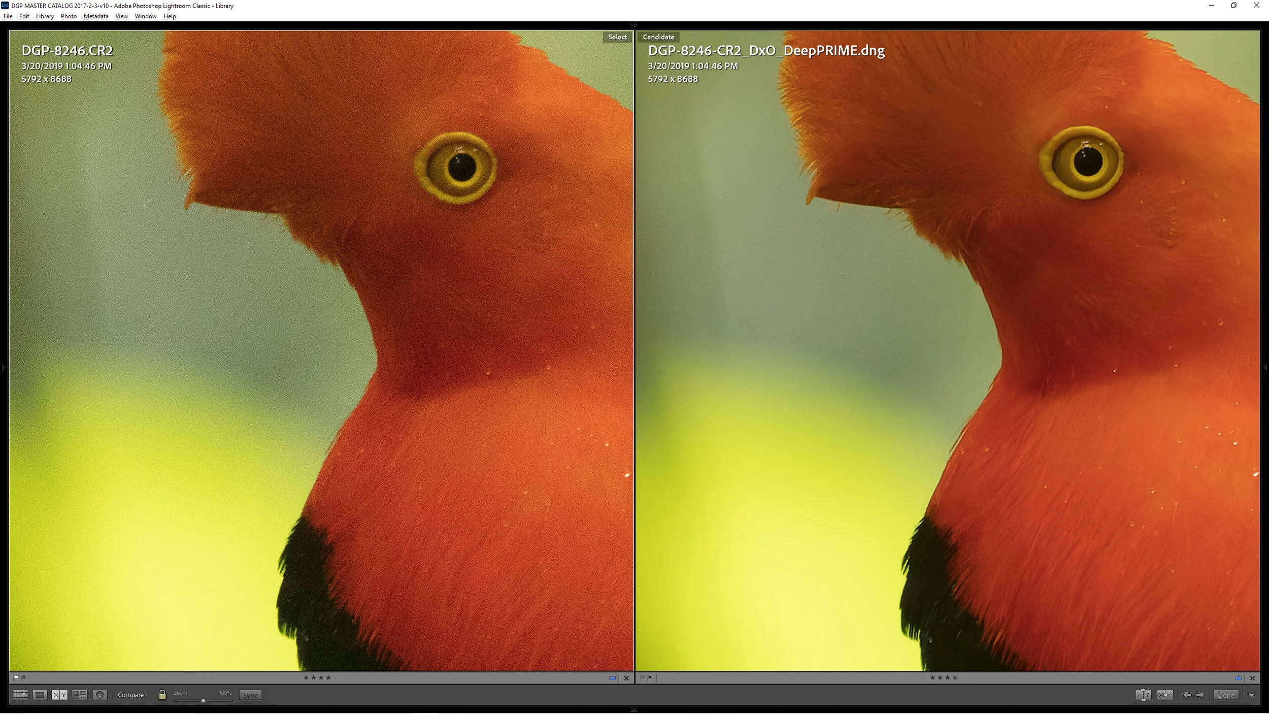 DxO PureRAW for Nature Photography — Deep Green Photography