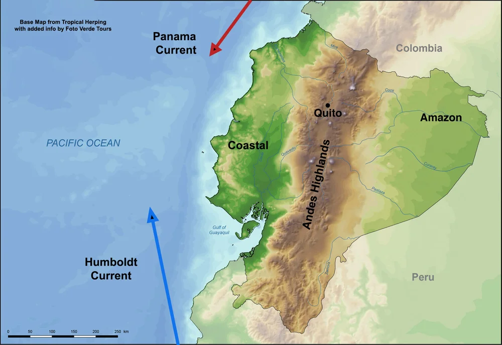 PHOTO LIFE | Photographing the Biodiversity of Ecuador — Deep Green ...