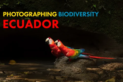PHOTO LIFE | Photographing the Biodiversity of Ecuador — Deep Green ...