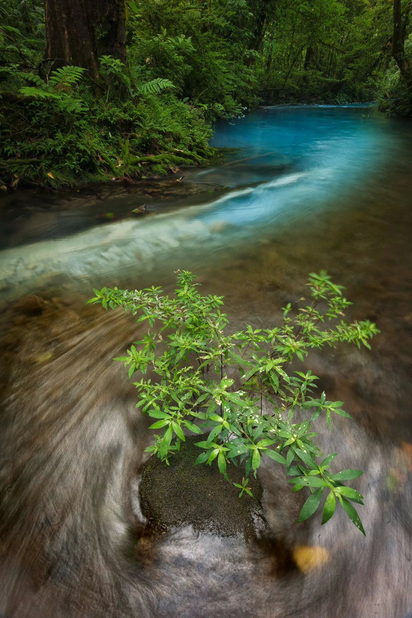PHOTO TECHNIQUE | Shutter Speeds for Moving Water — Deep Green Photography