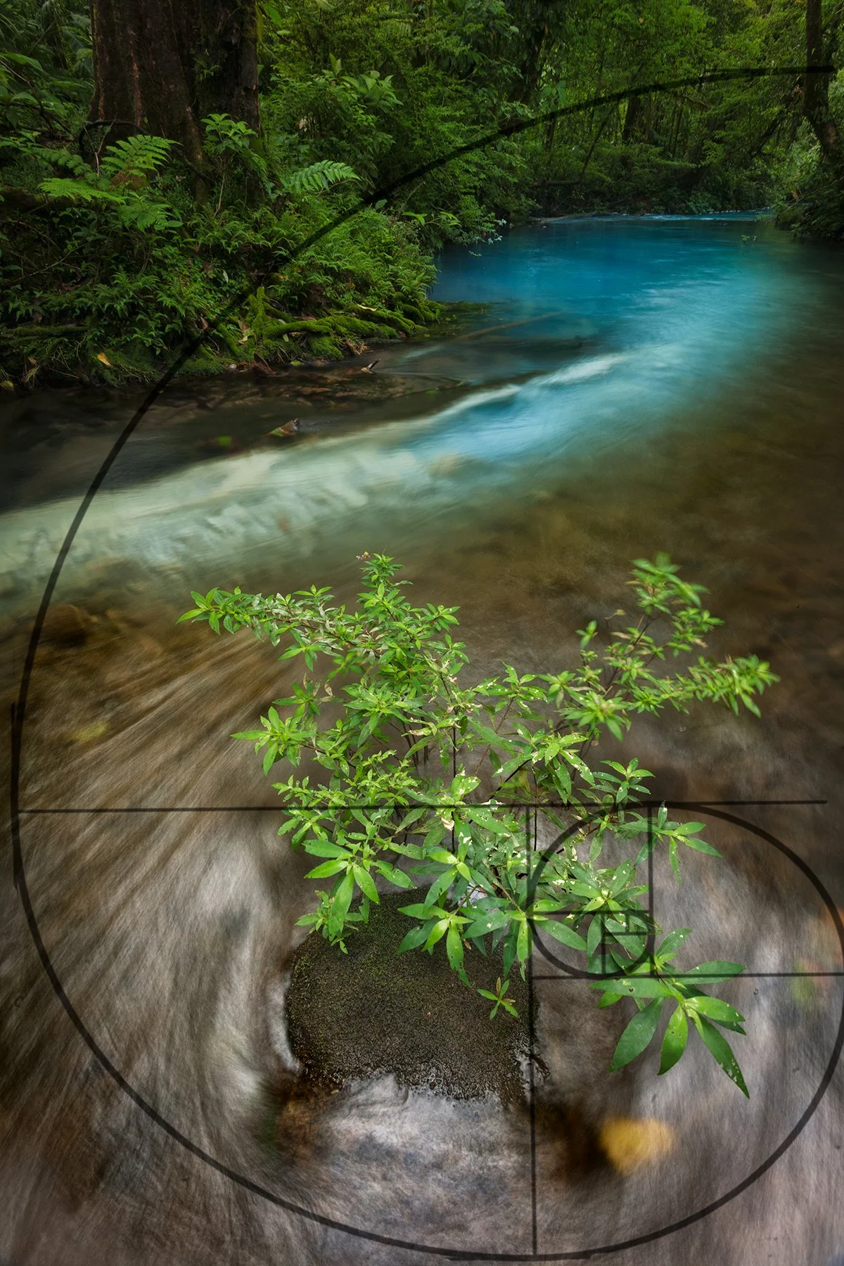 PHOTO TECHNIQUE | Shutter Speeds for Moving Water — Deep Green Photography