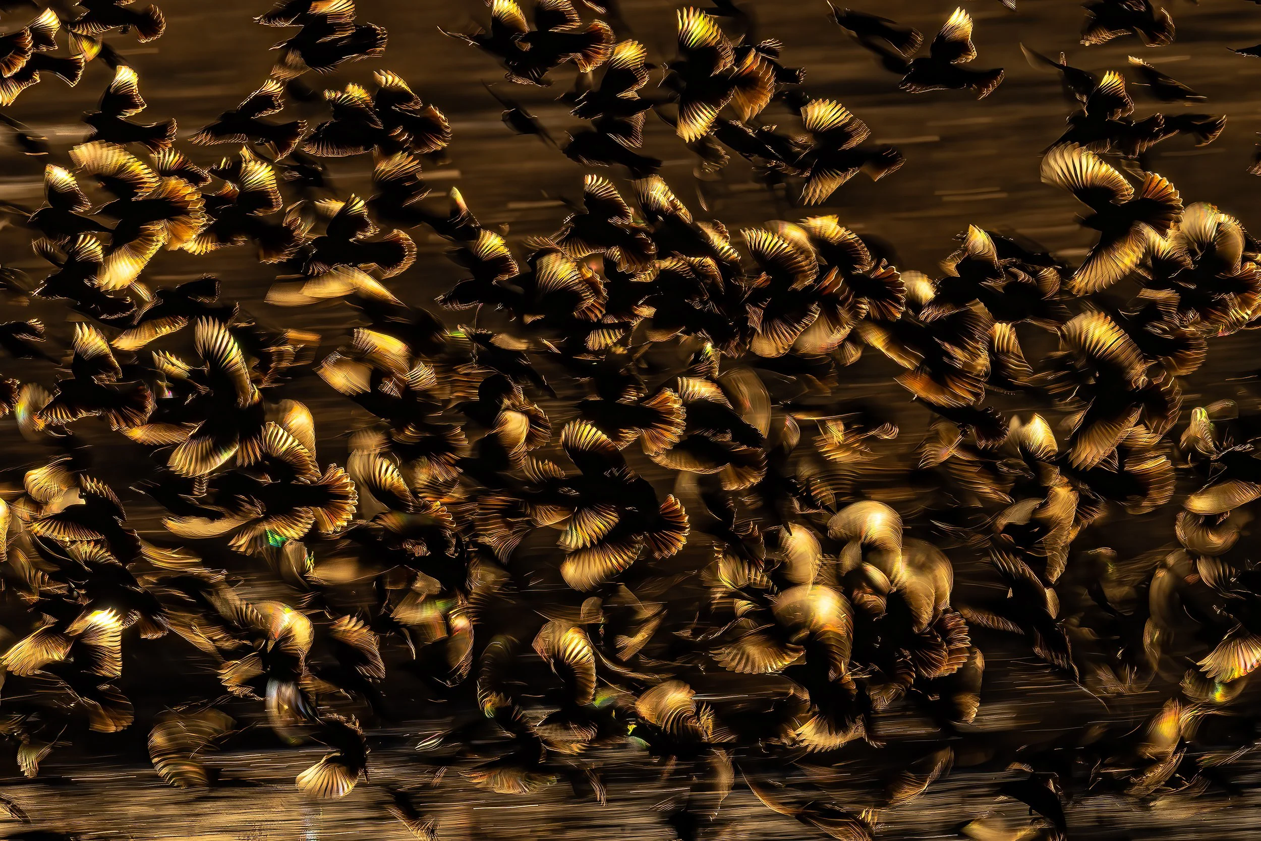 PHOTO GEAR | My Main Bird Photography Gear for 2023 — Deep Green ...