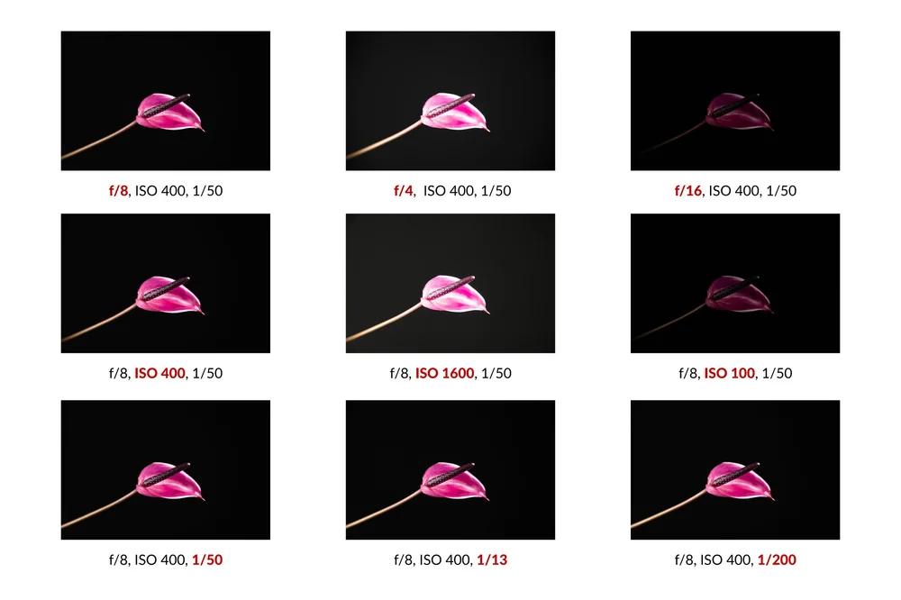 Shutter Speed and Flash – One of Life’s Great Mysteries Explained ...