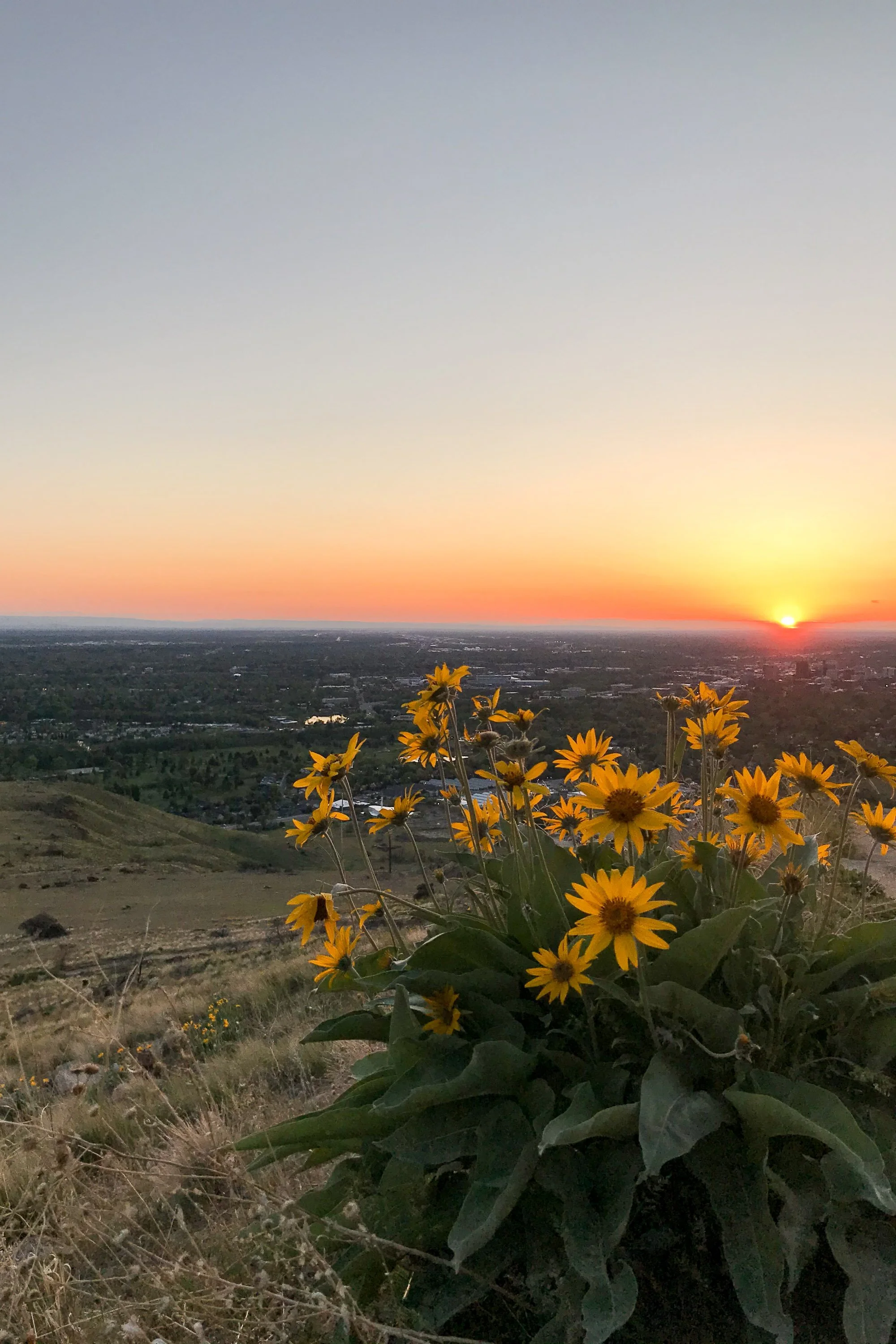How to Spend a Long Weekend in Boise: 3 to 4 Day Spring Itinerary