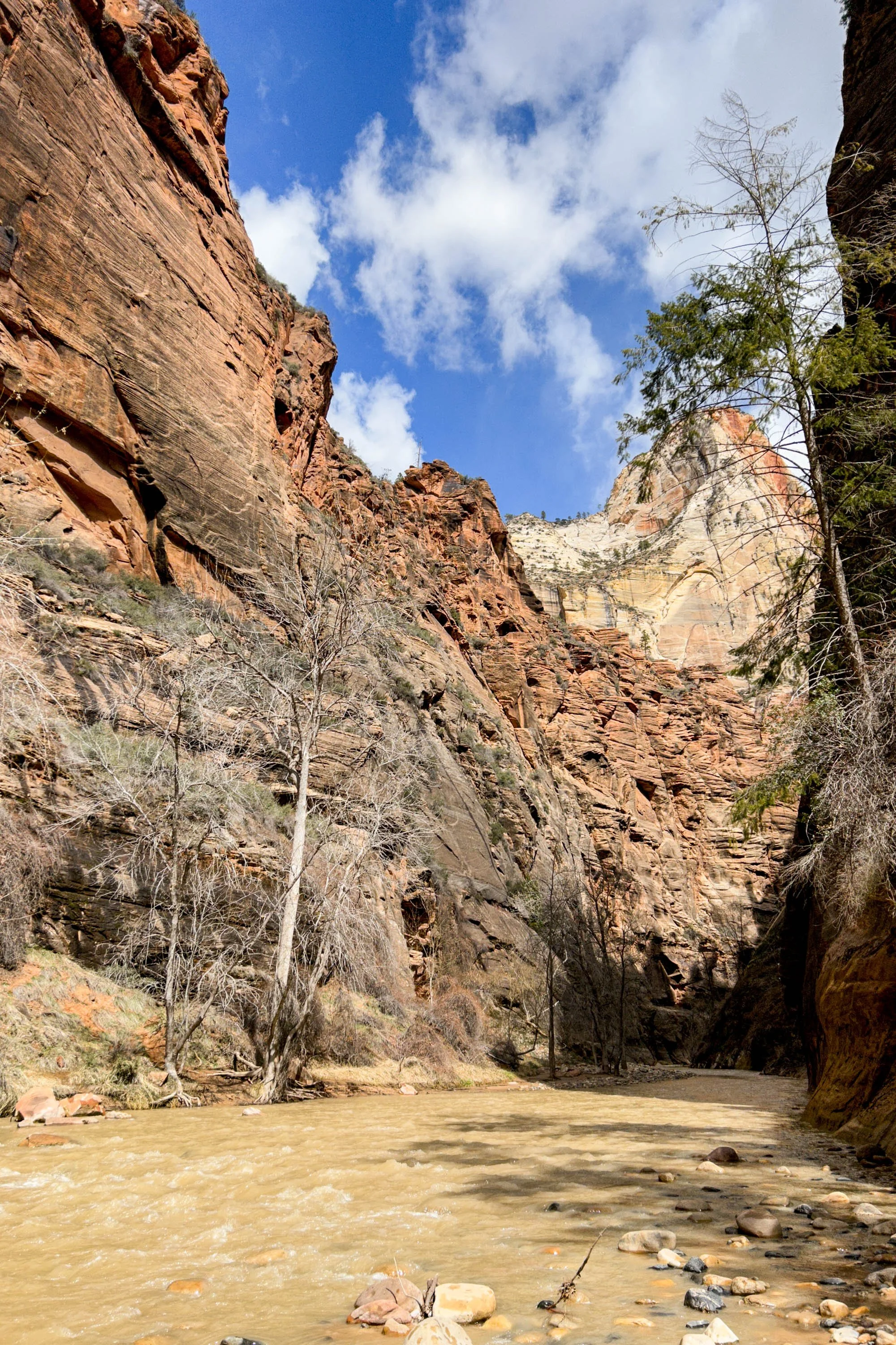 One Day in Zion National Park: Where to Hike, Eat, and Stay