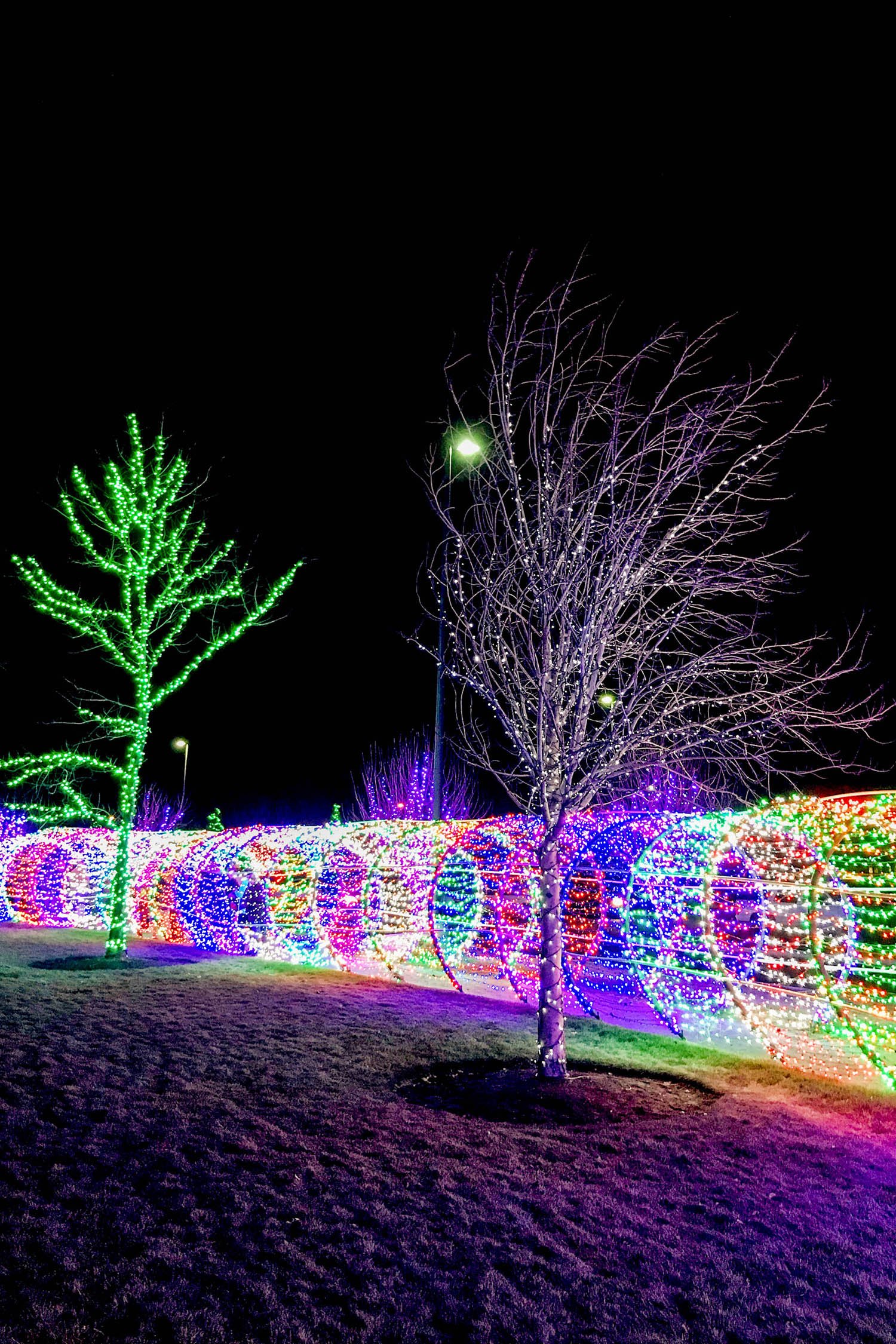 Holiday Events and Things to Do in Boise, Idaho (Updated 2024)