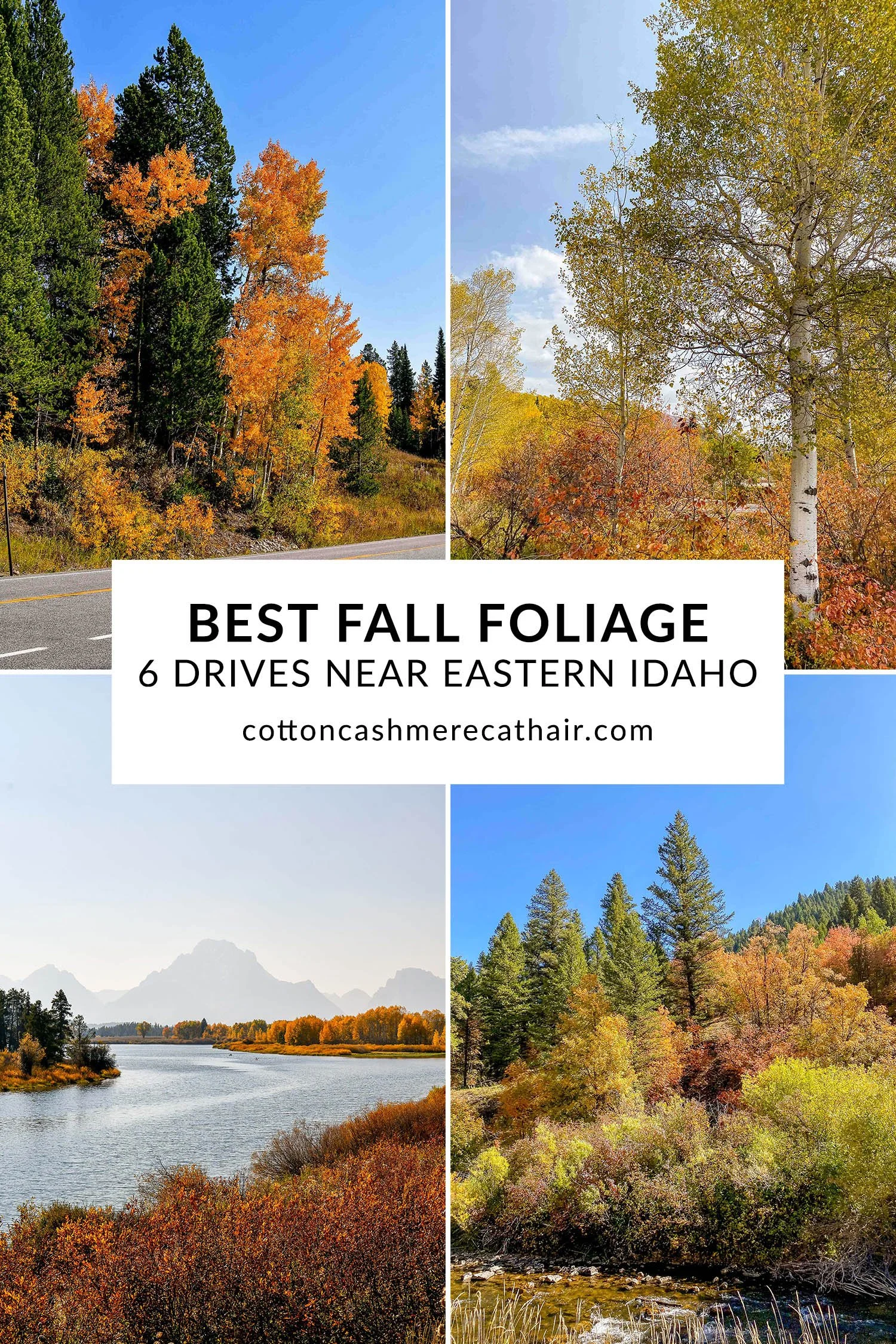 Idaho Fall Foliage: 6 Scenic Drives Near Eastern Idaho