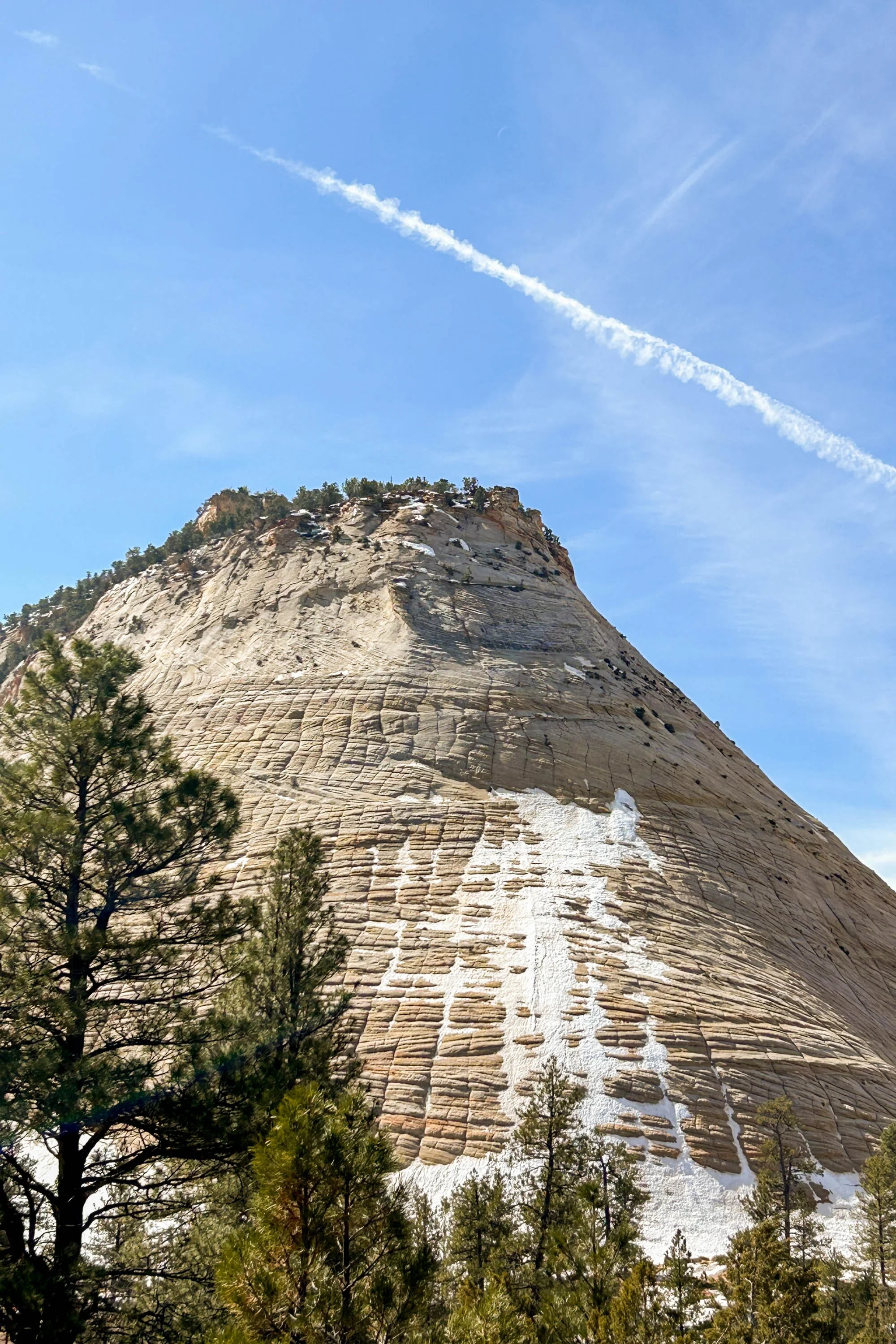 One Day in Zion National Park: Where to Hike, Eat, and Stay