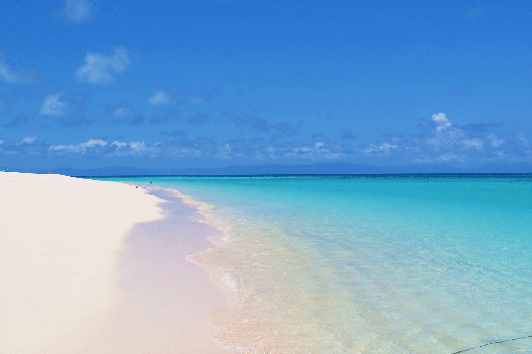 Calcean - Your Trusted Source for Oolitic Aragonite