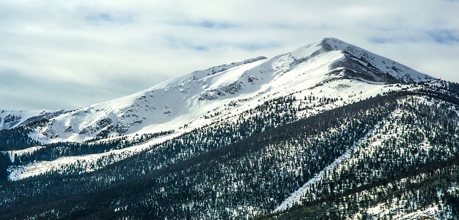 Bear Ridge Resort