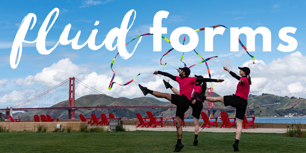 fluid forms Program — FACT/SF