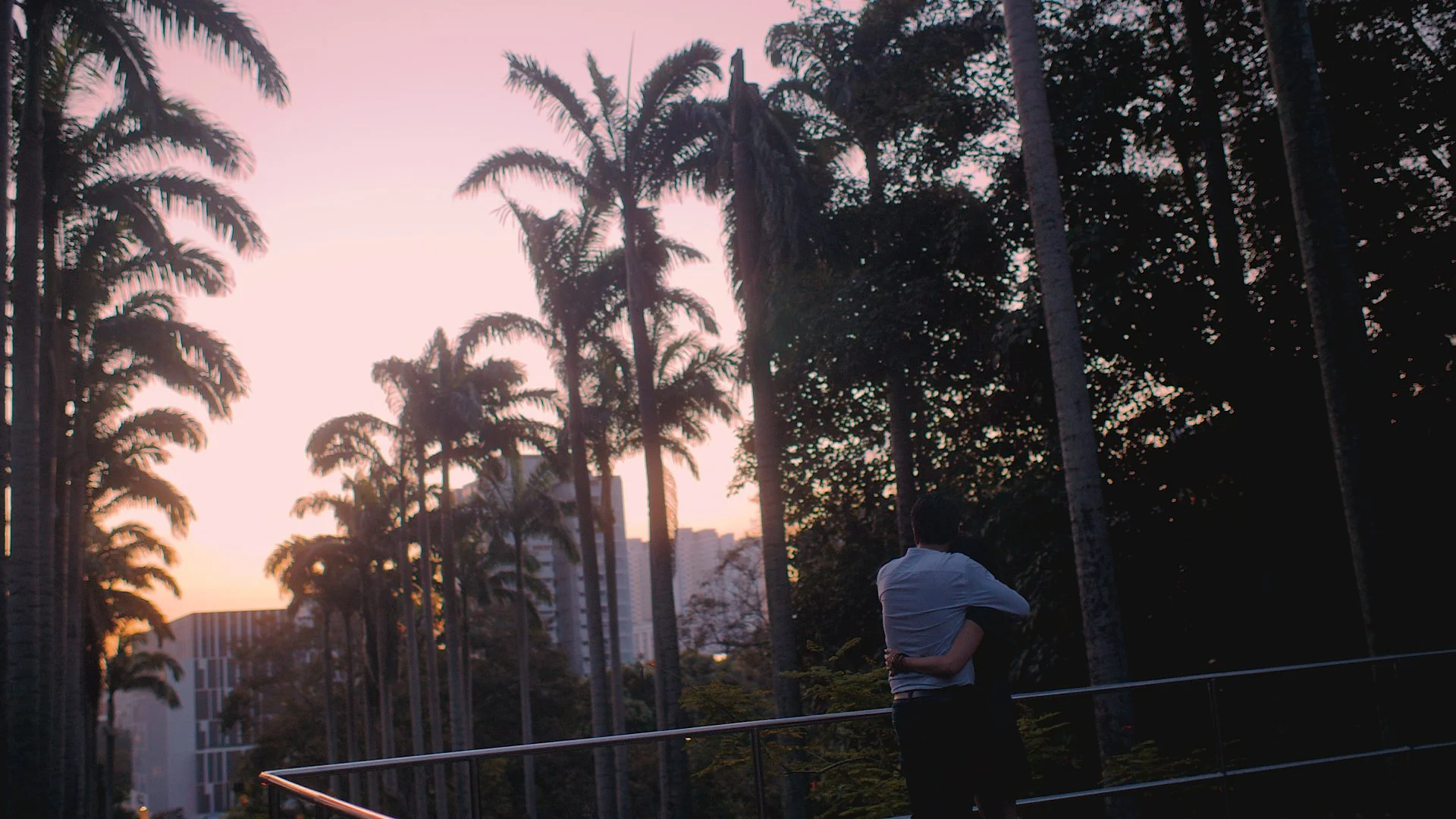 Stories — Sloth Creatives