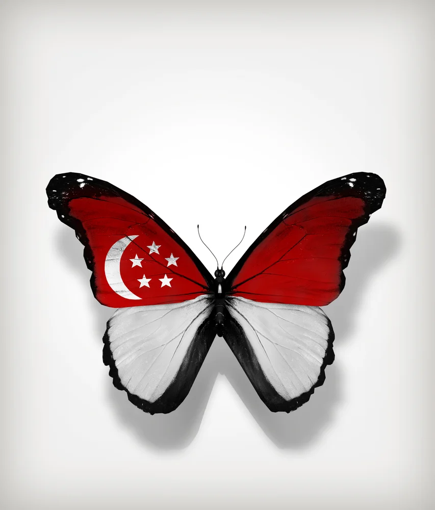 CMIO – Is it time to de-emphasise it? — Strategic Moves