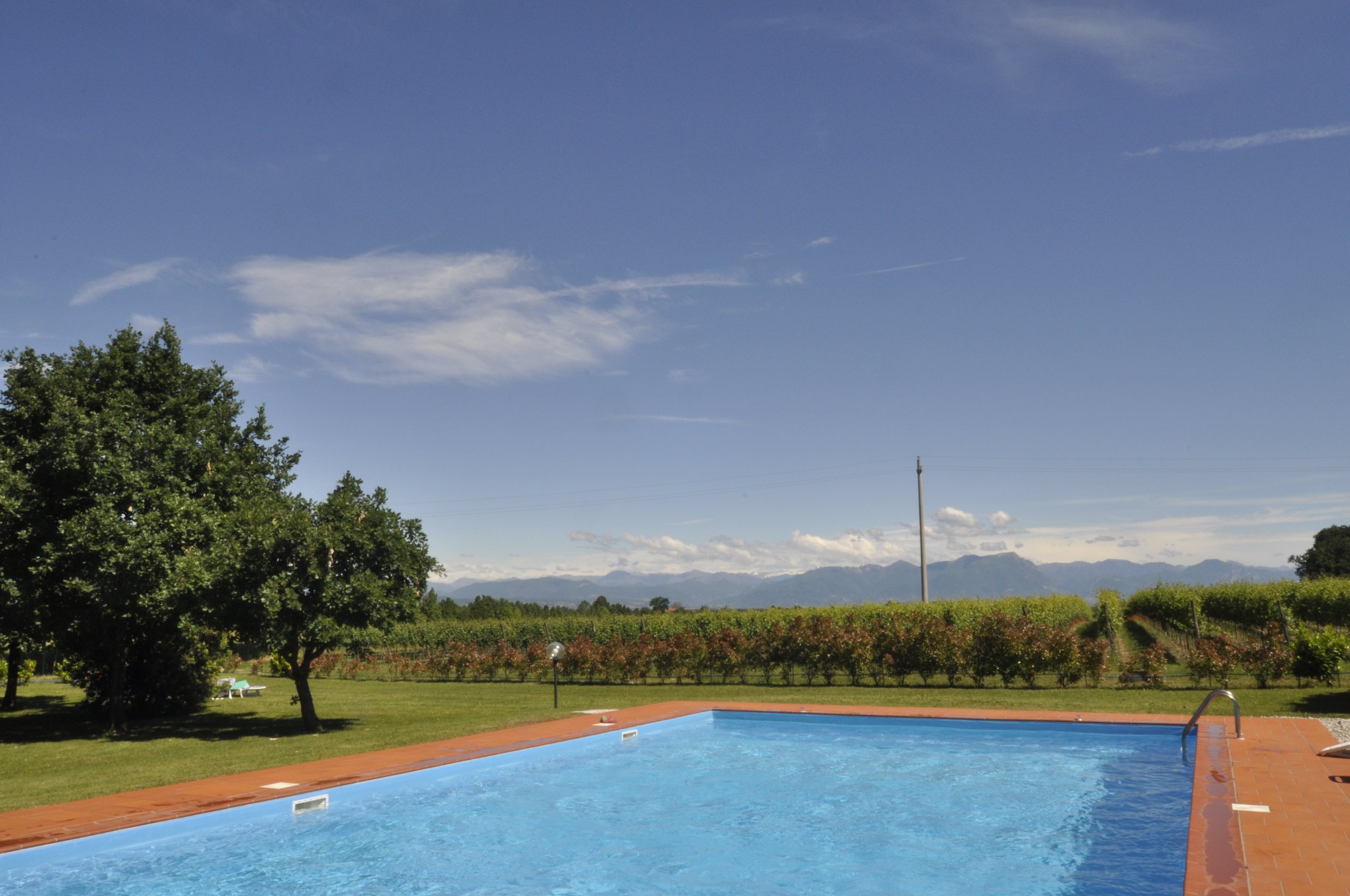 Commitment — Podere Selva Capuzza