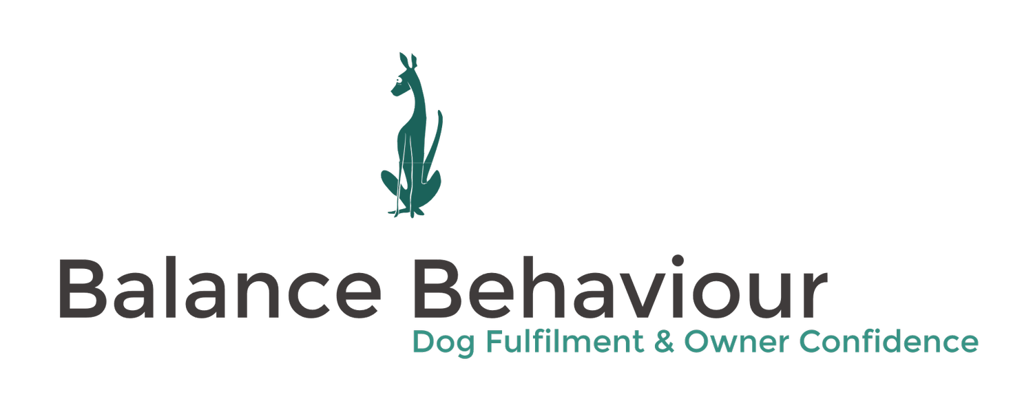 Bones for Behavioral Balance — Balance Behaviour