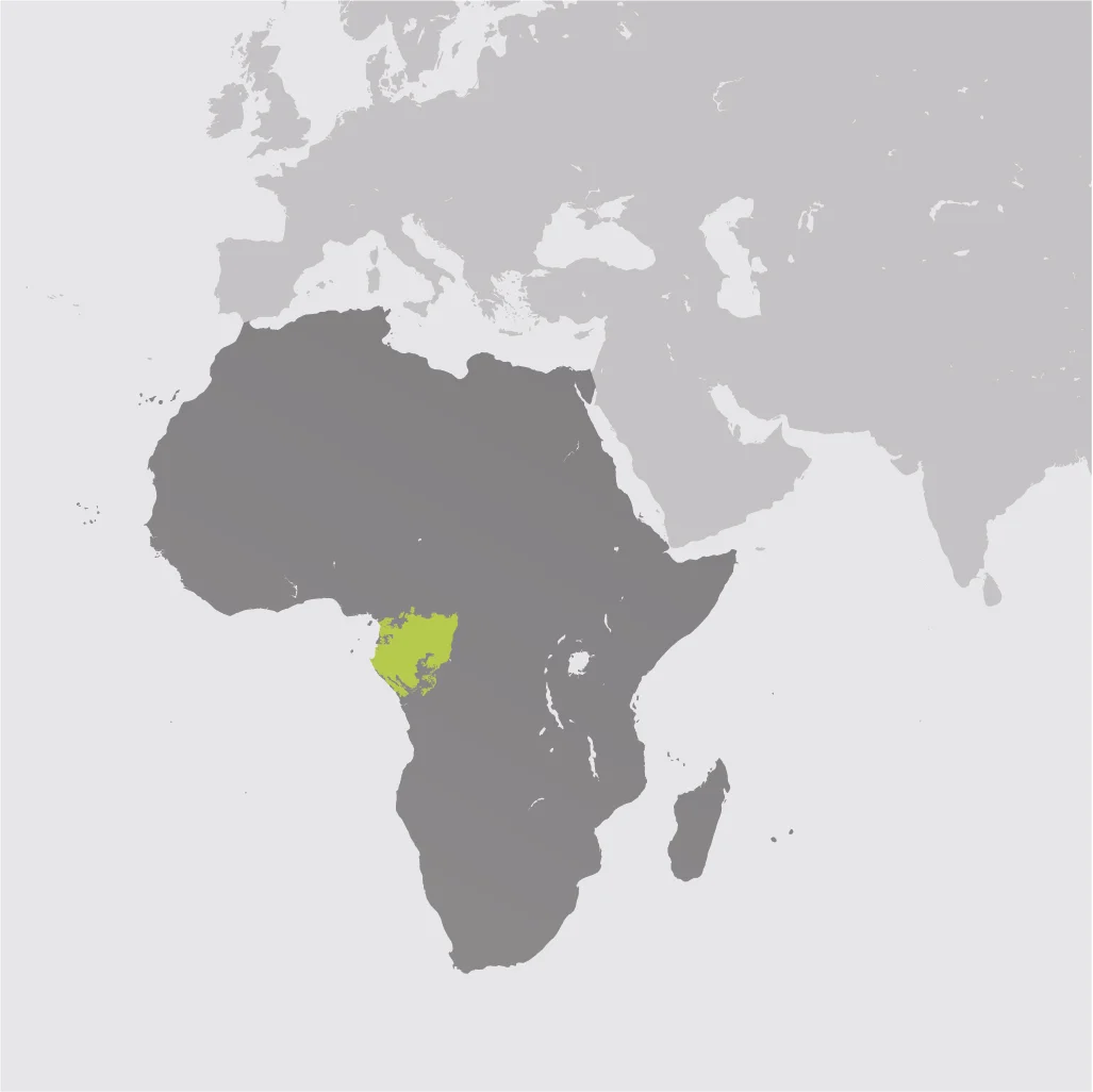 Western Lowland Gorilla Habitat Map