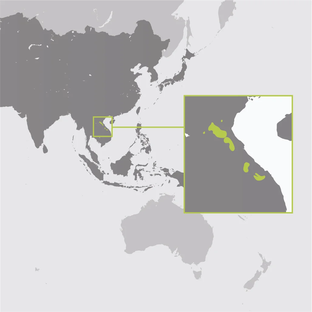 Saola — Expedition Art