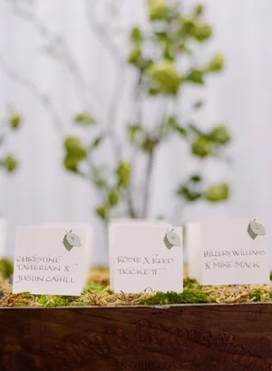 Valorie Ward Cole Calligraphy