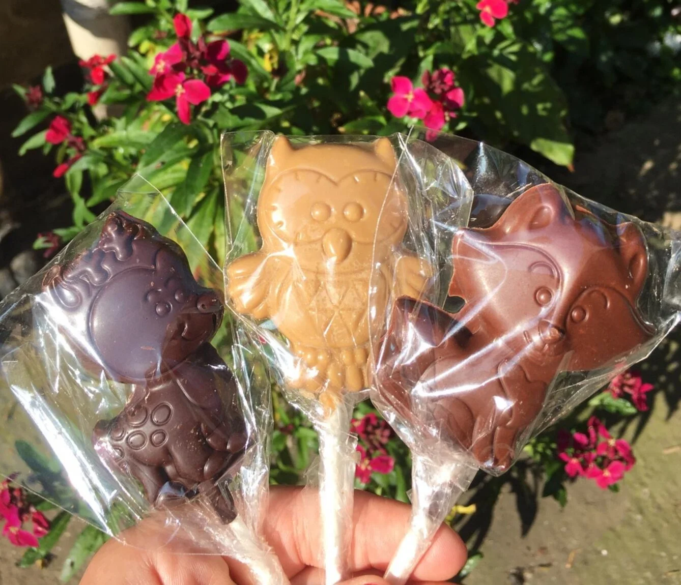 Shop — Lucocoa Chocolate