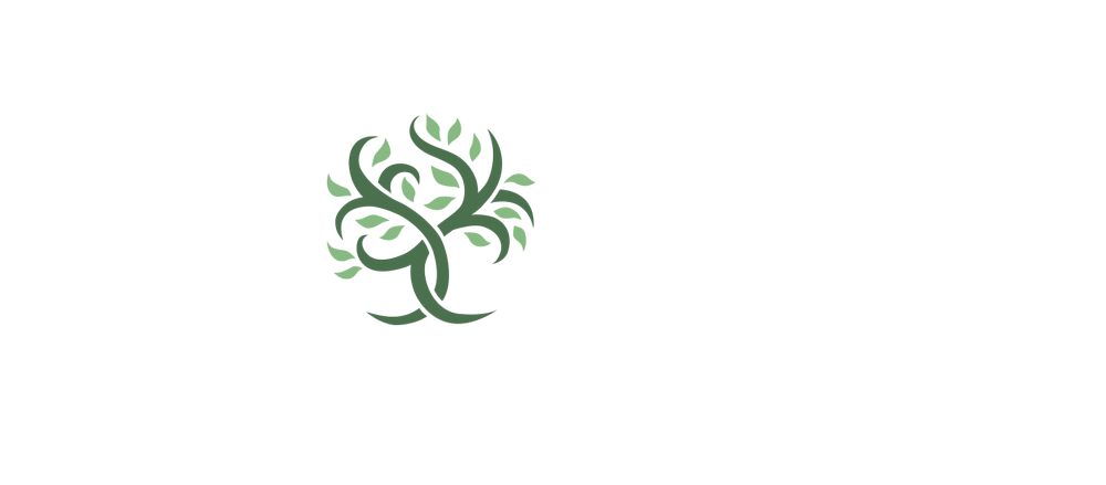 COTM | Children of the Mangrove