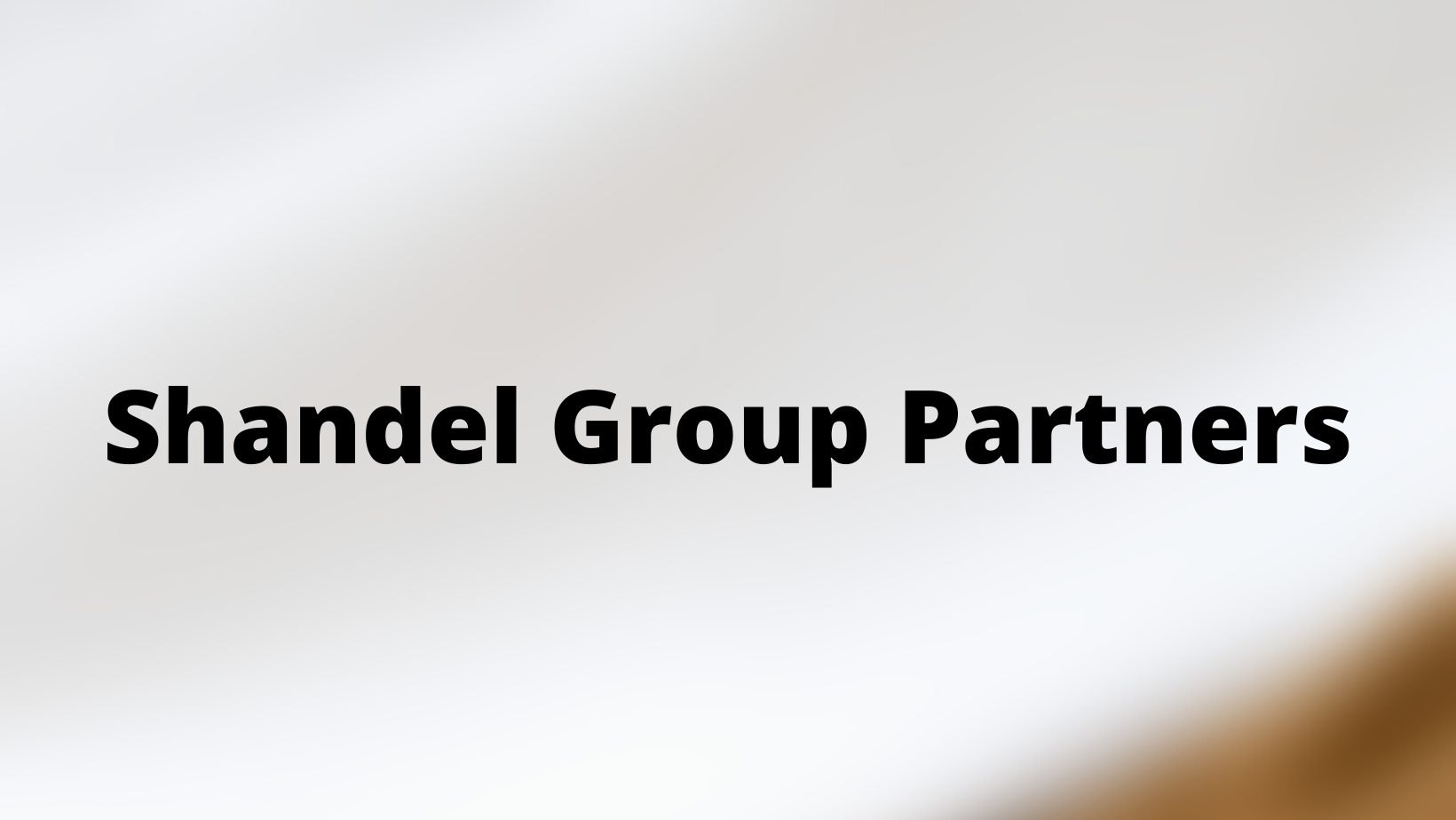 Our Team — Shandel Group
