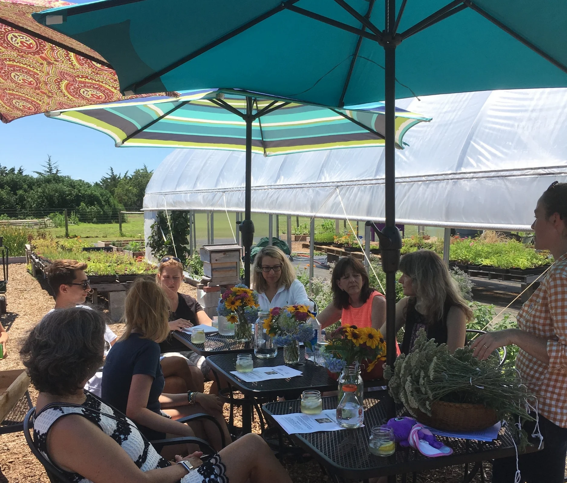 About The Farm — Herricks Herbs & Heirlooms