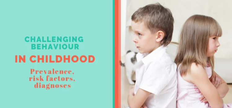 Effective Treatment for Disruptive Behaviour Disorders — Developing Minds