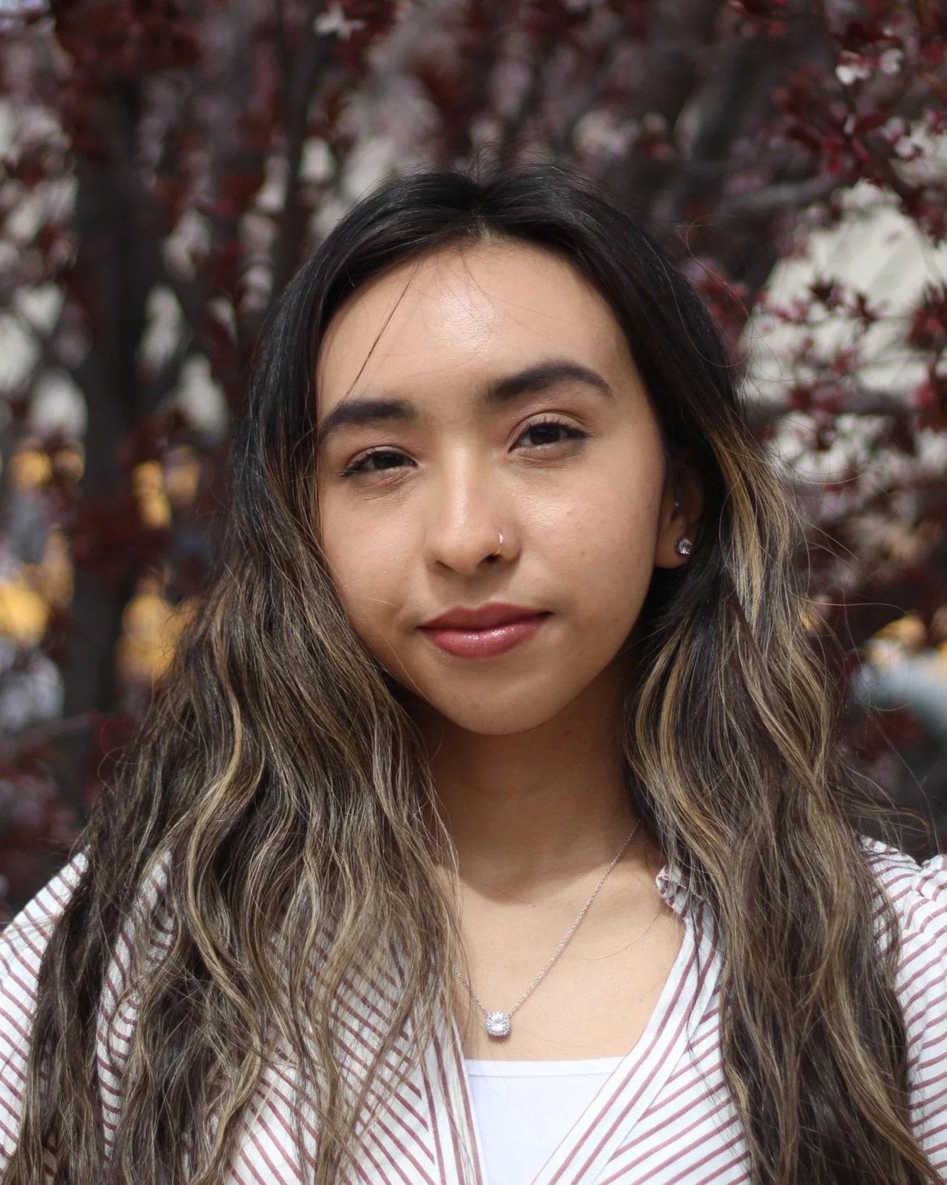 The Team — Zephyr Wellness