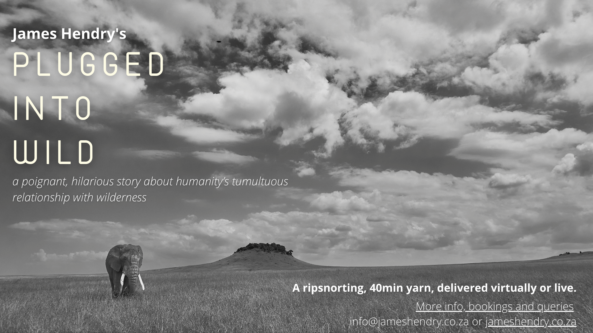 Plugged into Wild — James Hendry