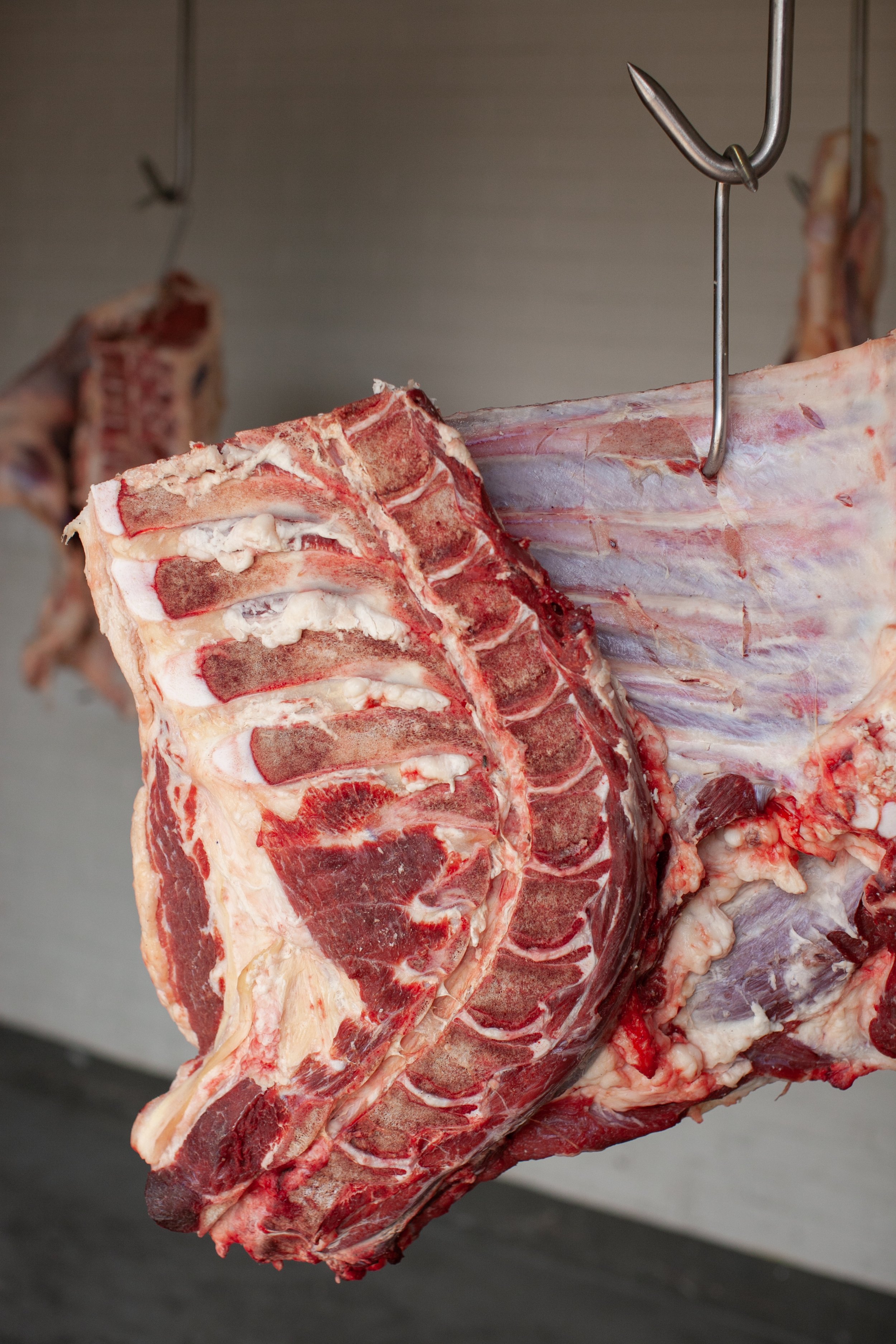 The Virginia Beef Company — Seven Hills Food