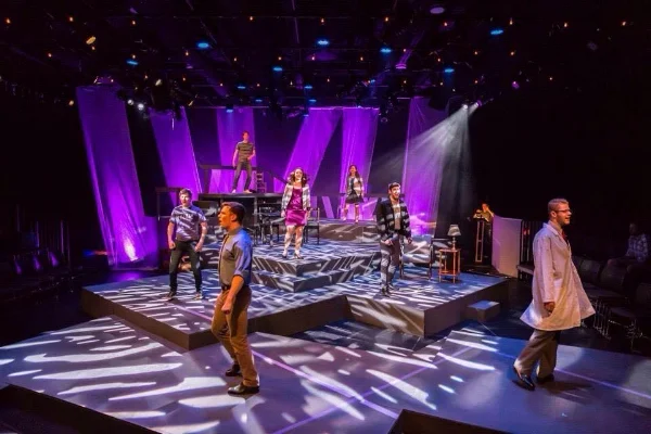 The Top 10 Musical Theatre Programs in the Country for 2017-18 ...