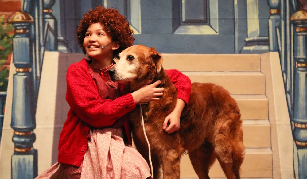 What Kind Of Dog Is Sandy From Annie