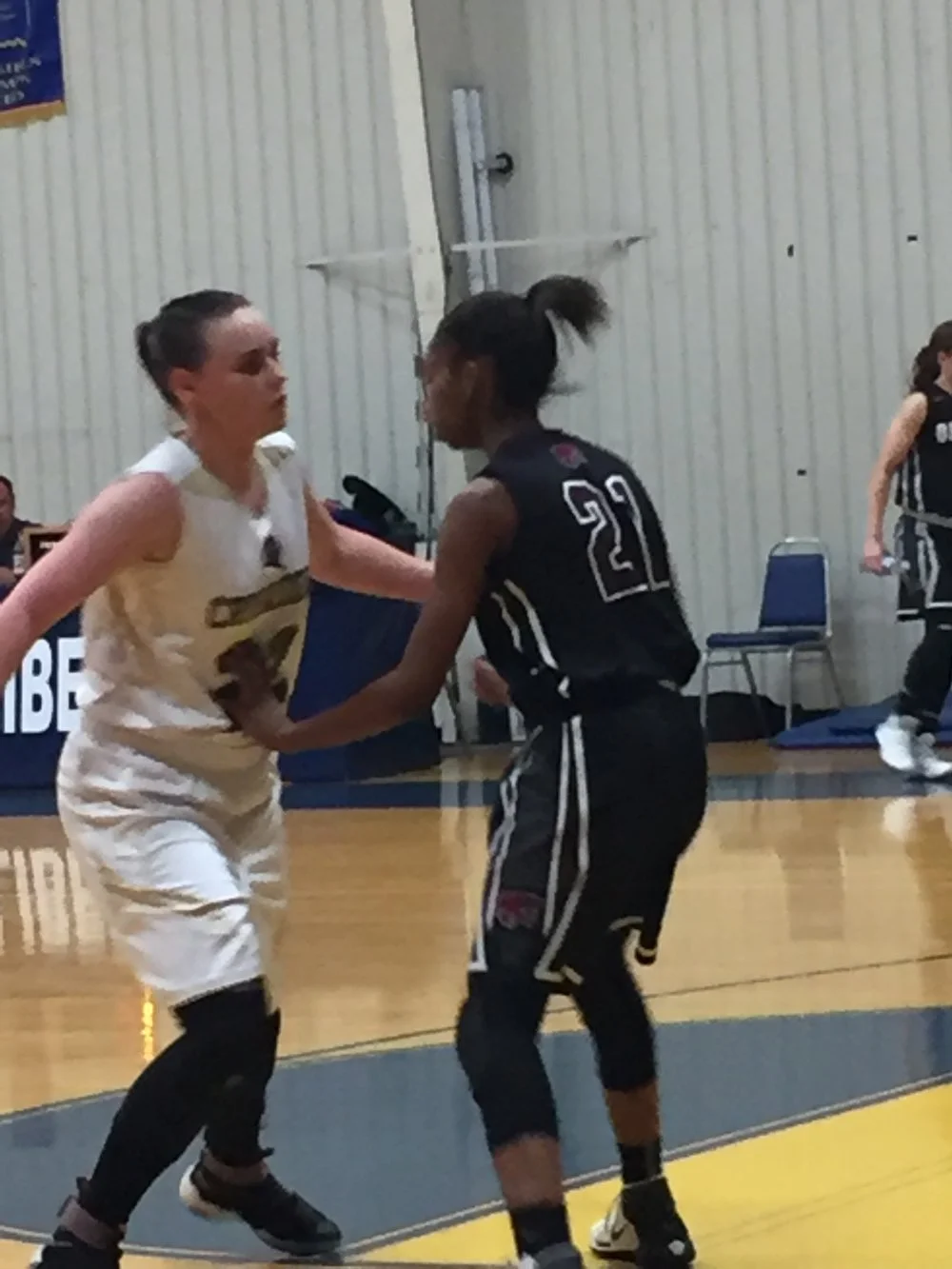 LadyCats Basketball — Destiny Christian School