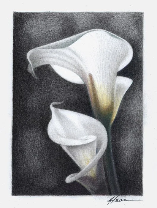 GALLERY 1 — Anthony Leon Studio