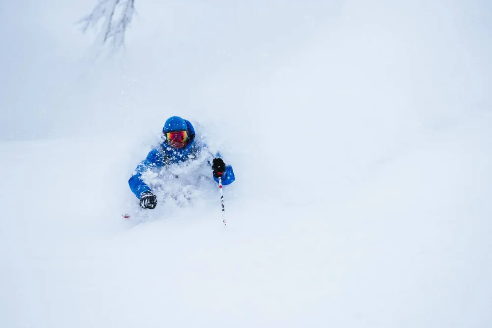 APPI — SnowLocals