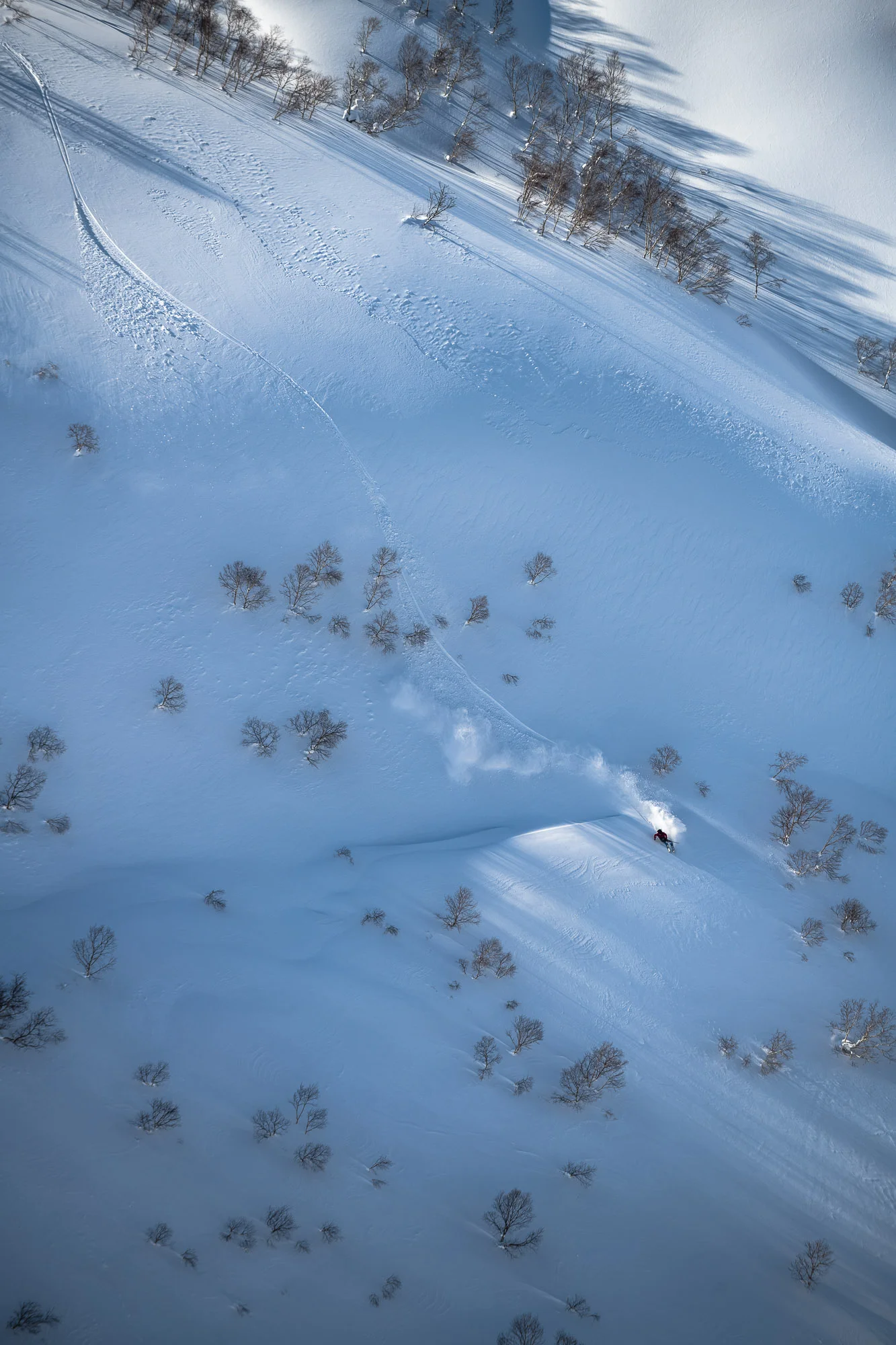 Corey & Friends ski Hokkaido — SnowLocals