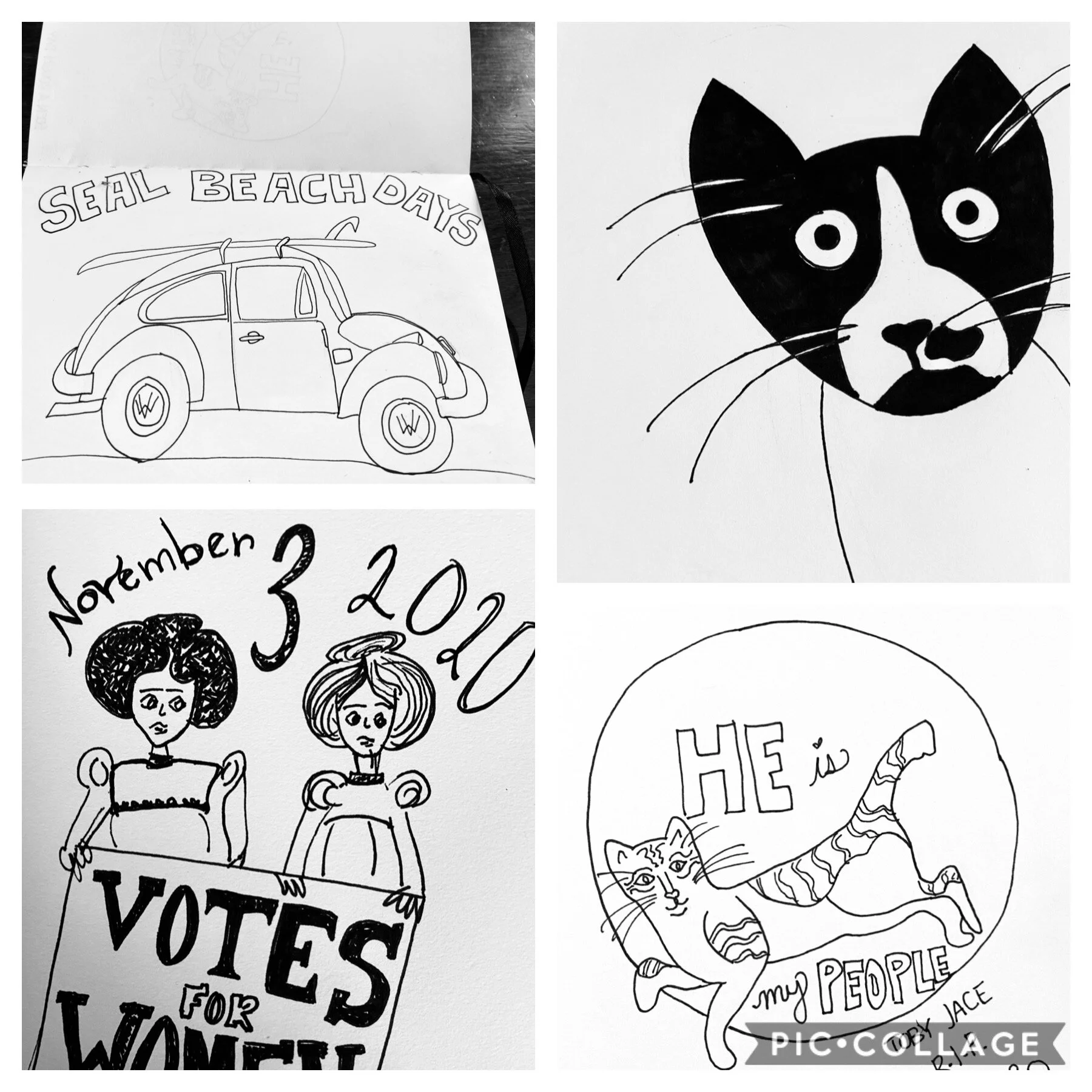 life in the wylde west