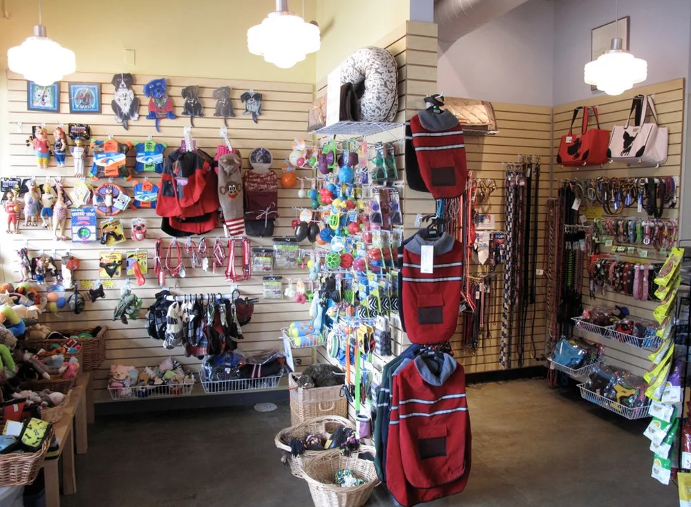 Chic accessories, pet gifts, all-natural products, treats & more — Bark ...