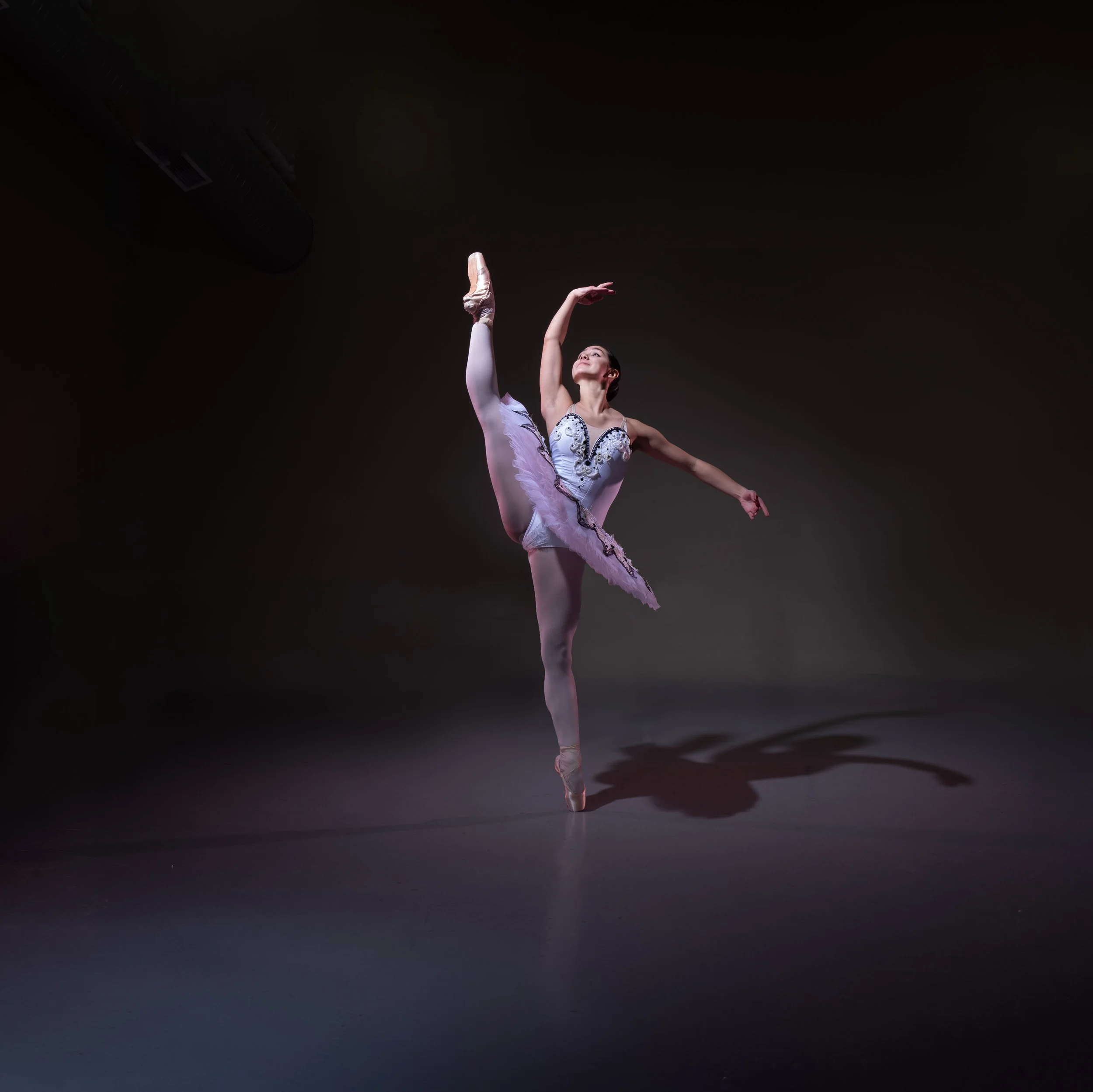 Mission and Philosophy — Michigan Ballet Academy