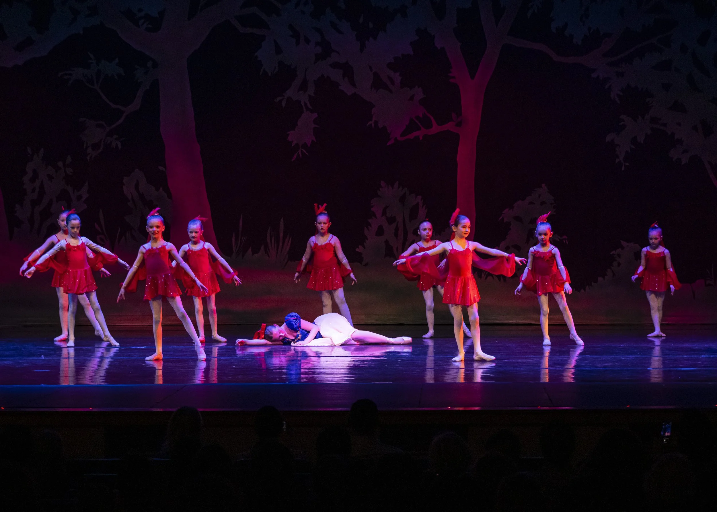 Michigan Ballet Academy