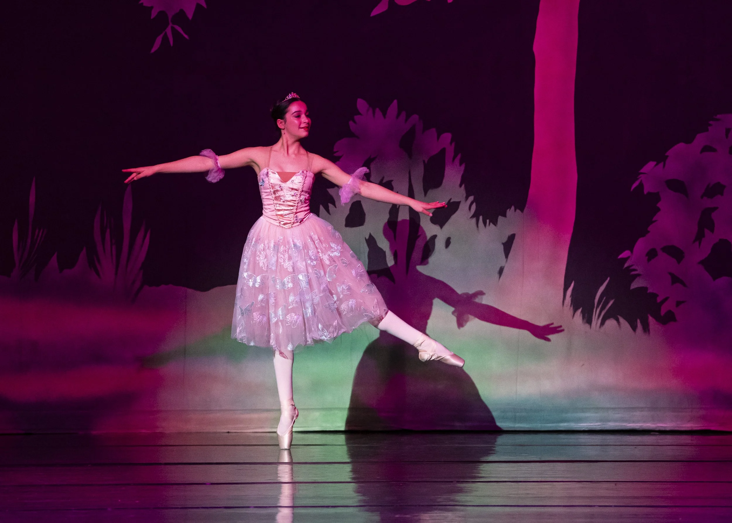 Michigan Ballet Academy