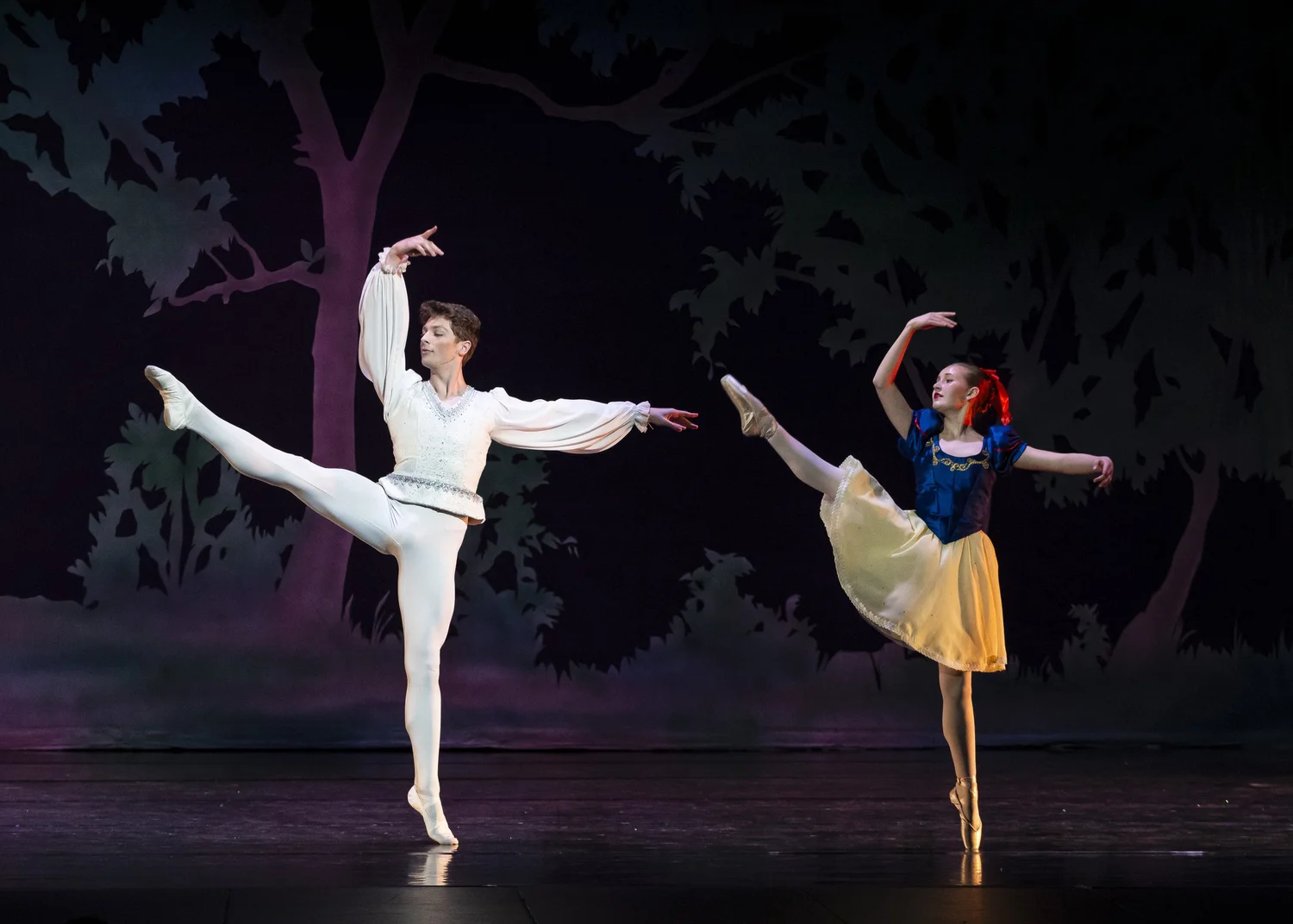 Michigan Ballet Academy