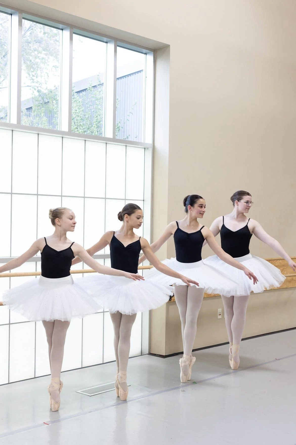 Michigan Ballet Academy