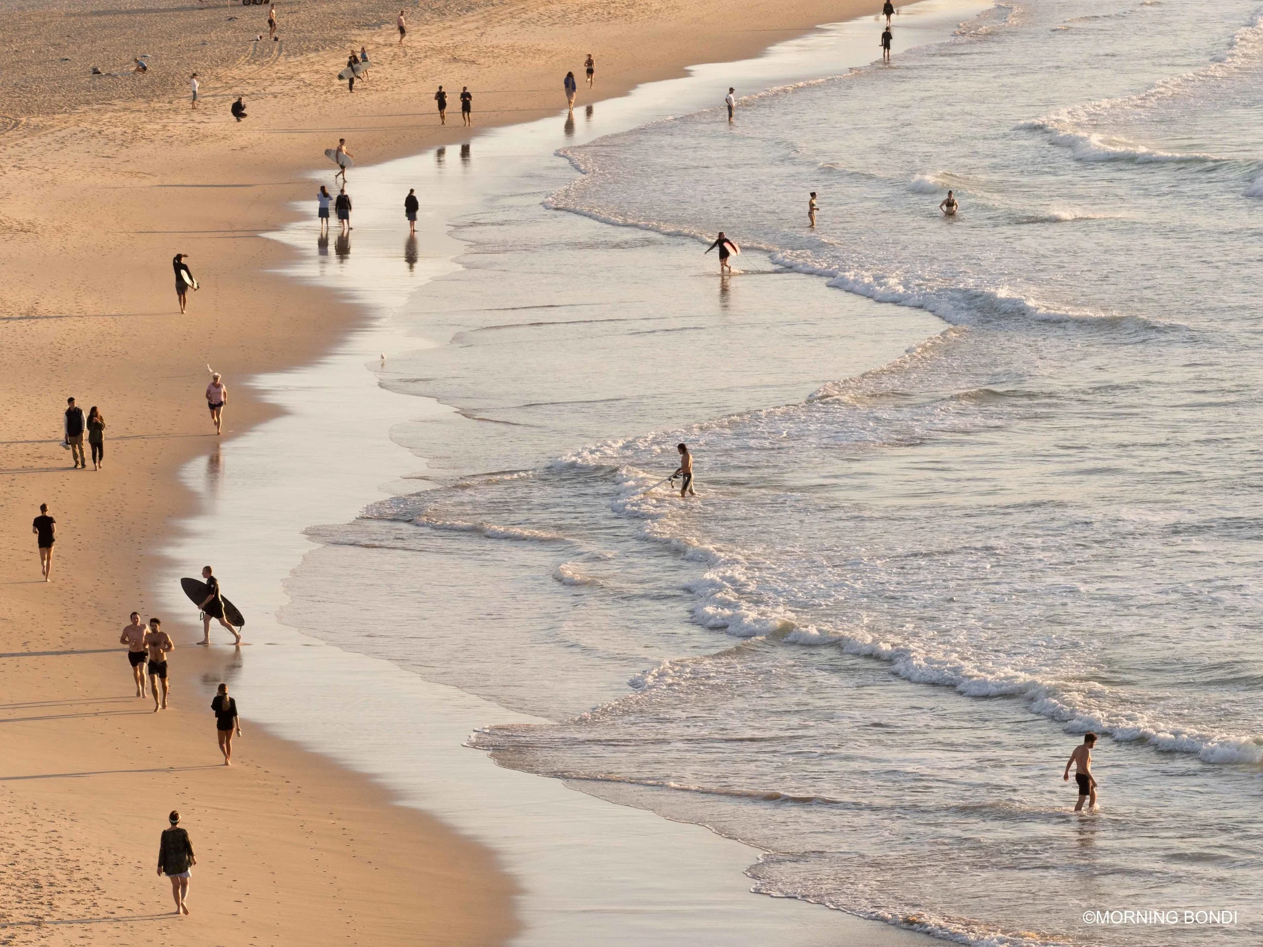 Blog — Morning Bondi