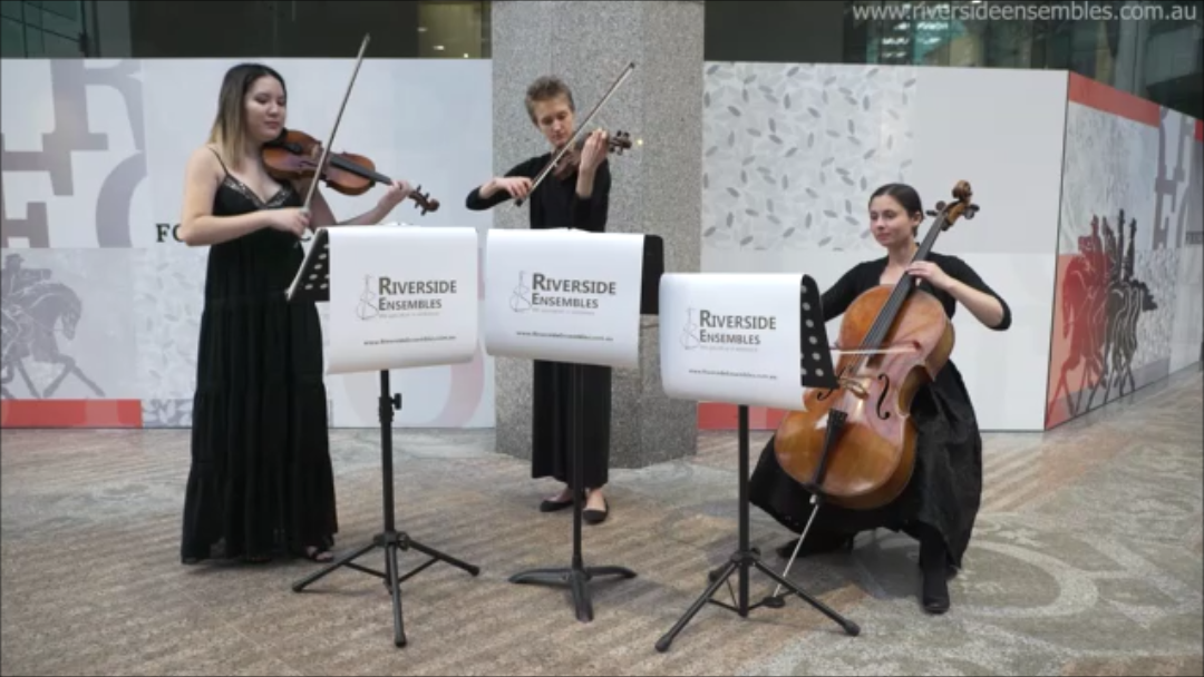 Wedding & Event Musicians - Riverside Ensembles - VIDEOS